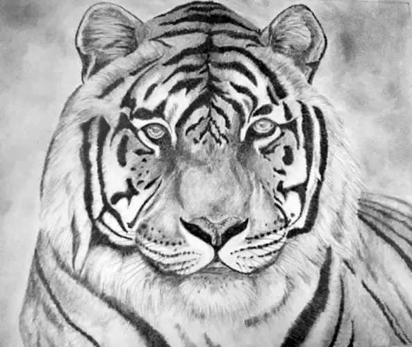 "Napi fél óra rajzolás" klub - valdorart.hu