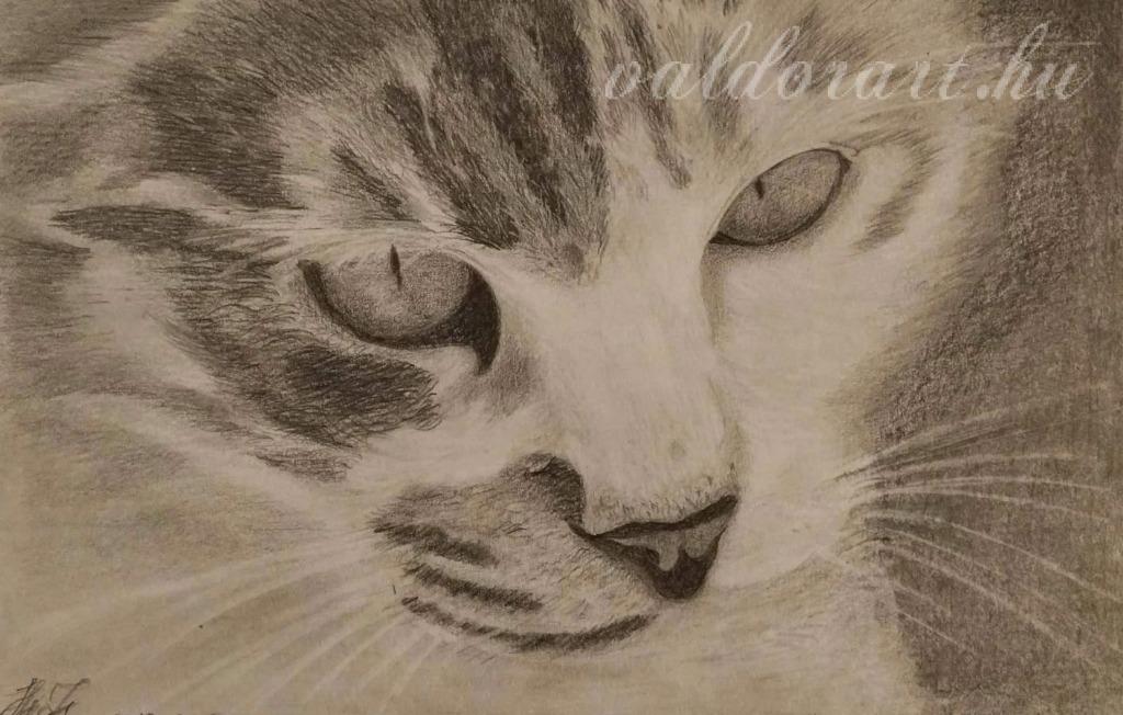 Rajztanulás online kezdőknek és haladóknak!